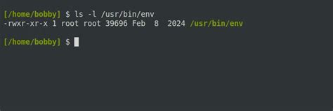 Hvad Er Execute Bitten I Linux Og Hvorfor Er Den Vigtig Ahla Home