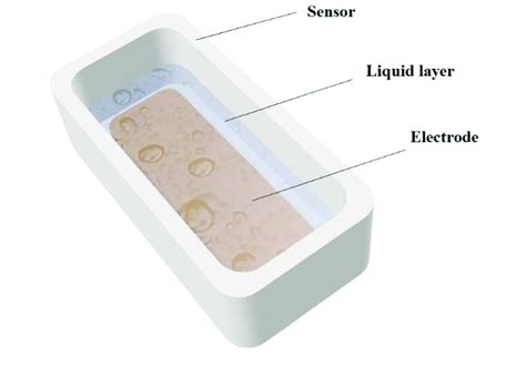 Schematic Representation Of The Sensor For Detection Of Contaminants In Download Scientific