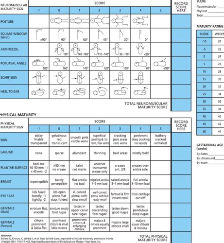 Newborn Care Flashcards Quizlet