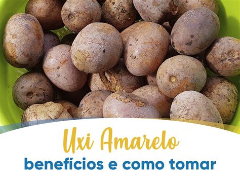 Uxi Amarelo benefícios e como tomar