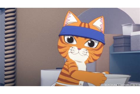 「少年ジャンプ＋」連載中の『ラーメン赤猫』アニメ化！ アニメイトタイムズ