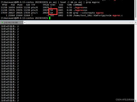 Linux Running Sleeping Disk Sleeptracing Stop