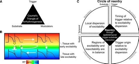 Frontiers The Circle Of Reentry Characteristics Of Trigger Substrate
