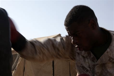 Dvids Images 37 Weapons Company Mcmap Training Image 4 Of 6