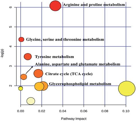 metabolic pathway of potential biomarkers download scientific diagram