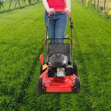 205 In 173cc High Wheel Fwd Gas Walk Behind Self Propelled Lawn Mower