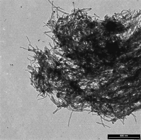 Tem Image Showing Agglomeration Of Carbon Nanotube In Mgb With Nanotube Download Scientific