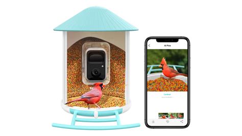 Netvue Birdfy Announced Revolutionary Birdwatching Experience For 450m Bird Lovers In The Us