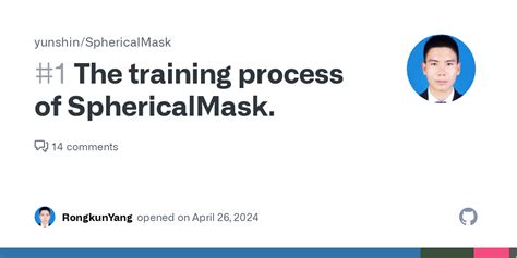The Training Process Of SphericalMask Issue Yunshin SphericalMask GitHub