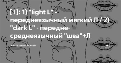[ l ]: 1) "light L" - переднеязычный мягкий Л / 2) "dark L" - передне ...