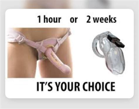 Femdom Strapon Chastity Cage Sexrepository69