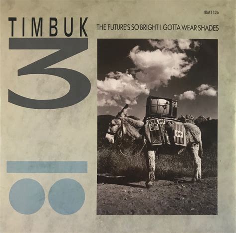Timbuk 3 The Futures So Bright I Gotta Wear Shades 1986 Vinyl