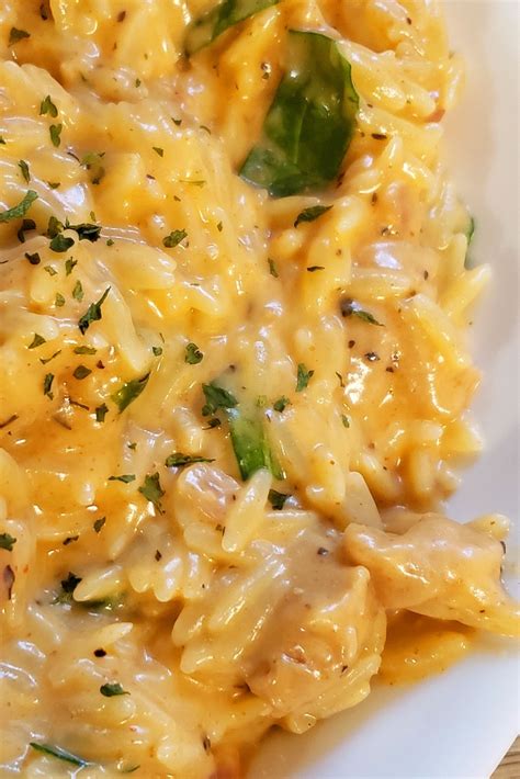 Cheesy Chicken Orzo Artofit
