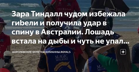 Зара Тиндалл чудом избежала гиbели и получила удар в спину в Австралии Лошадь встала на дыбы и