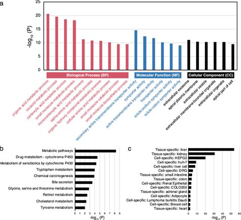 Classification Of Female Biased Genes In E65 Embryos A The Most