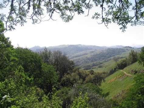 Things To Do In Palo Alto California 8 Best Nature Parks Trip101