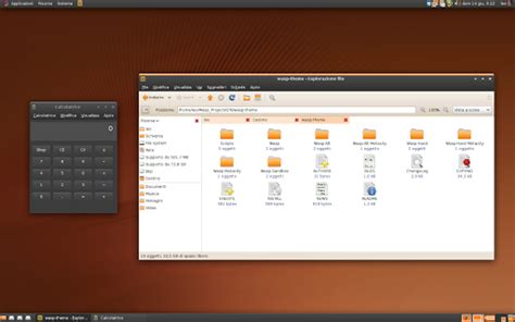 Wasp Another Proposed Theme For Ubuntu Lucid Lynx ~ Web Upd8 Ubuntu