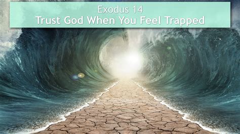 The Book Of Exodus Chapter 14