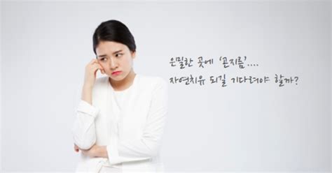 여성 곤지름 치료 없이 나을 수 있을까 면역력과의 관계