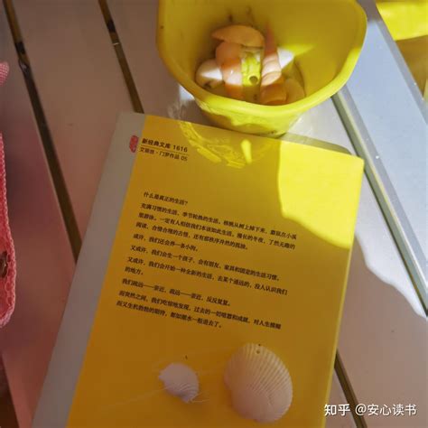 什么是真正的生活，门罗是如此一针见血地道破 知乎