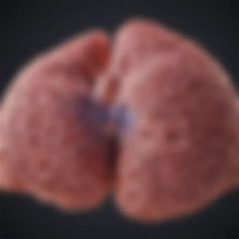 Sclc Comprehensive Overview Of Small Cell Lung Cancer
