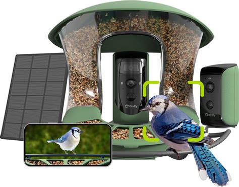 Birdfy Smart Bird Feeder With Camera Solar Powered Dual Cameras Auto