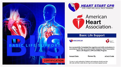What Is Bls Certification Importance Of Basic Life Support Training