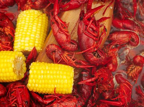 Cajun Crawfish Boil Recipe Fresh Crawfish Recipes Fulton Fish Mark