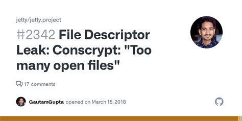 File Descriptor Leak Conscrypt Too Many Open Files · Issue 2342