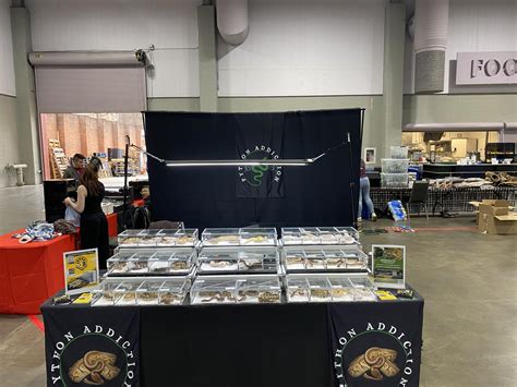 Python Addiction Syracuse Ny