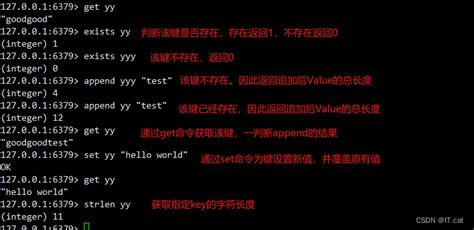 Redis不同数据类型下的基础查询命令redis Hmset查询指定数据 Csdn博客