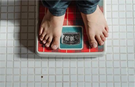 Pengertian Jenis Dan Aplikasi Alat Dengan Sensor Berat