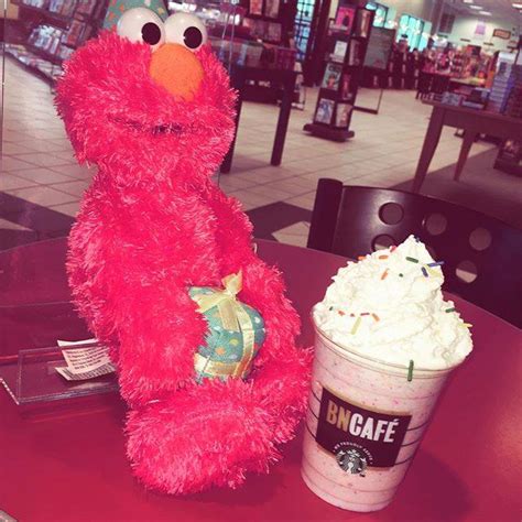 Barnes And Noble Today Is The Birthday Of The One And Only Furry Red