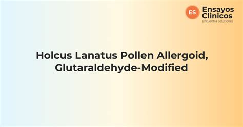 Holcus Lanatus Pollen Allergoid Glutaraldehyde Modified Aplicación