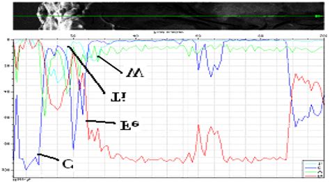 Eds Line Scan Analysis In Weight Percentage Download Scientific Diagram