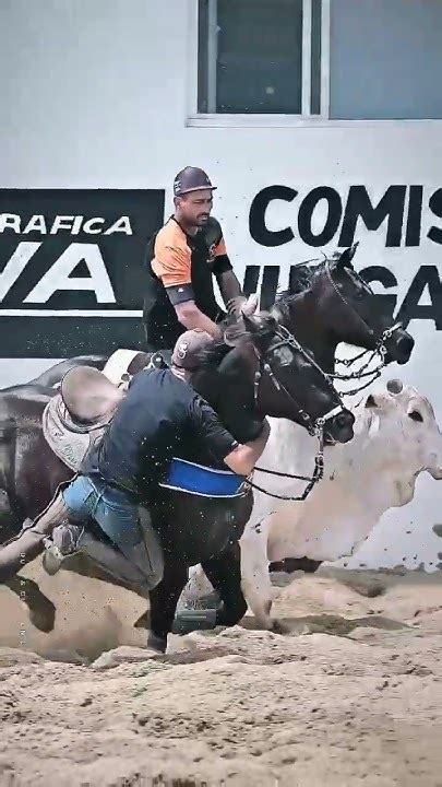 Vem Morena Pros Meus Braços 🐎🐂🐎 Youtube