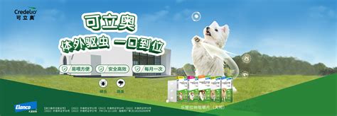 可立奥