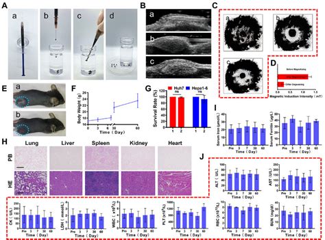 Characterization And Biosafety Of Nd 2 Fe 14 Bfe 3 O 4 Plga A