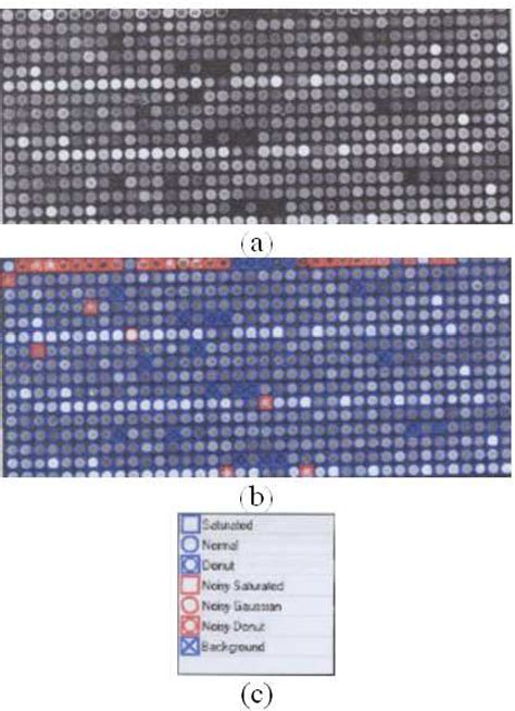 Figure 1 From A New Rbf Neural Approach For Spot Classification In Dna