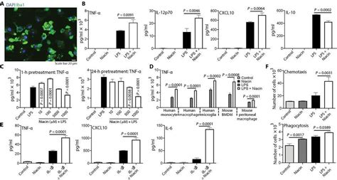 Control Of Brain Tumor Growth Lifeboat News The Blog