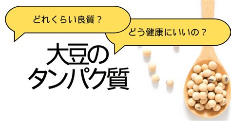 【何肉】大豆ミートとは注目される理由や肉との違いについて ソイメディア