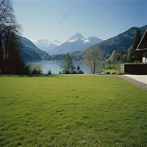 Grassy Yard Background Images Hd Pictures And Wallpaper For Free