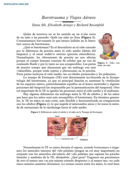 Xi Manual Espanhol Completo V2 21 Pdf