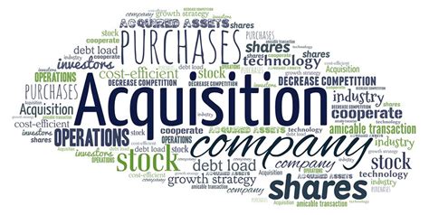 How To Get The Best Targets Systematic Acquisition Target Identification Chameleon