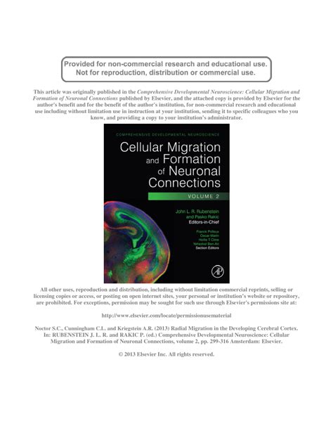 Pdf Radial Migration In The Developing Cerebral Cortex