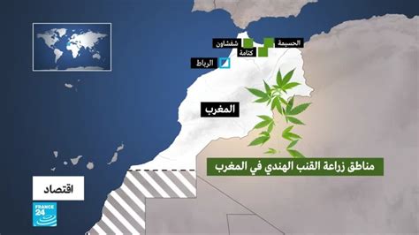 أين يزرع القنب الهندي في المغرب أول منتج لمخدر الحشيش بالعالم