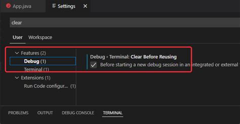 Java How Do I Make Vscode Terminal Window Clear Previous Spring Boot Output Automatically