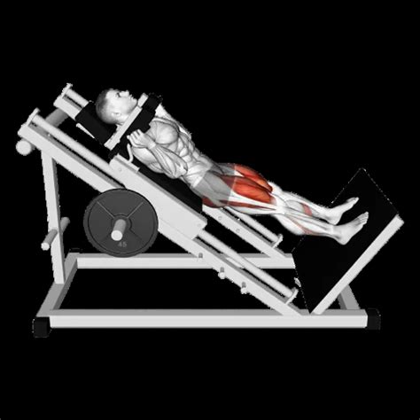 Bodyweight Squat Guide Muscles Worked Tips Athlemove