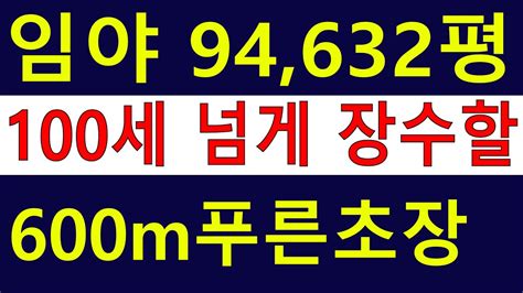낙찰 600고도 대형임야 10만평 푸른 초원~100세도 넘게 장수할수있을 것 같은 남향풍수명당 100개발가능 보전12