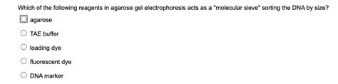 SOLVED Which Of The Following Reagents In Agarose Gel Electrophoresis